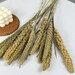 10 Stems Natural Millet Branches，millet Grain，flowers Arrangement，diy ...
