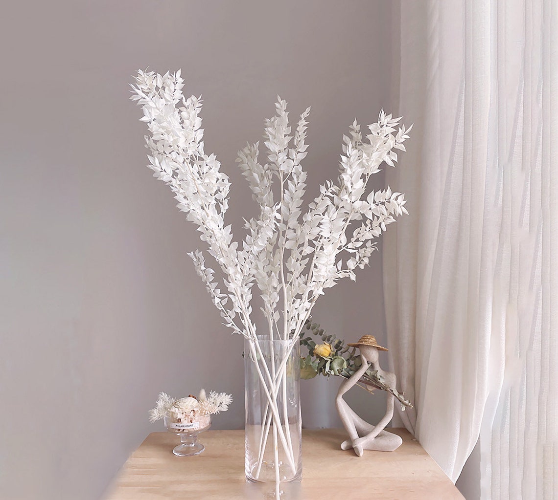 Preserved Ruscus Bunch 5 Sticksdried Italian Ruscus - Etsy