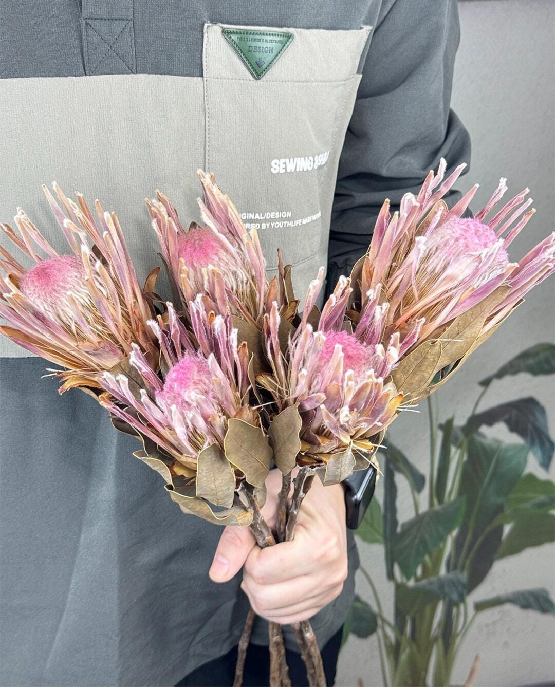 Dry Protea Flowers, Natural Princess Protea Stems , Home Decoration ...