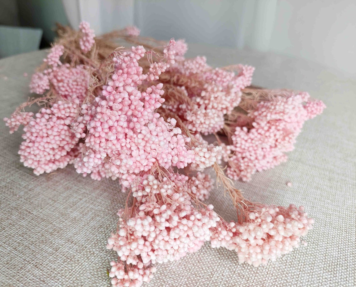 Preserved Pink Rice Flower Bunchdried Flower Arrangementvase - Etsy