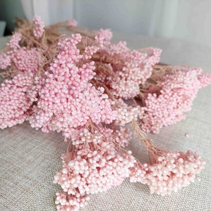 Preserved Pink Rice Flower Bunch，dried Flower Arrangement，vase Filler ...