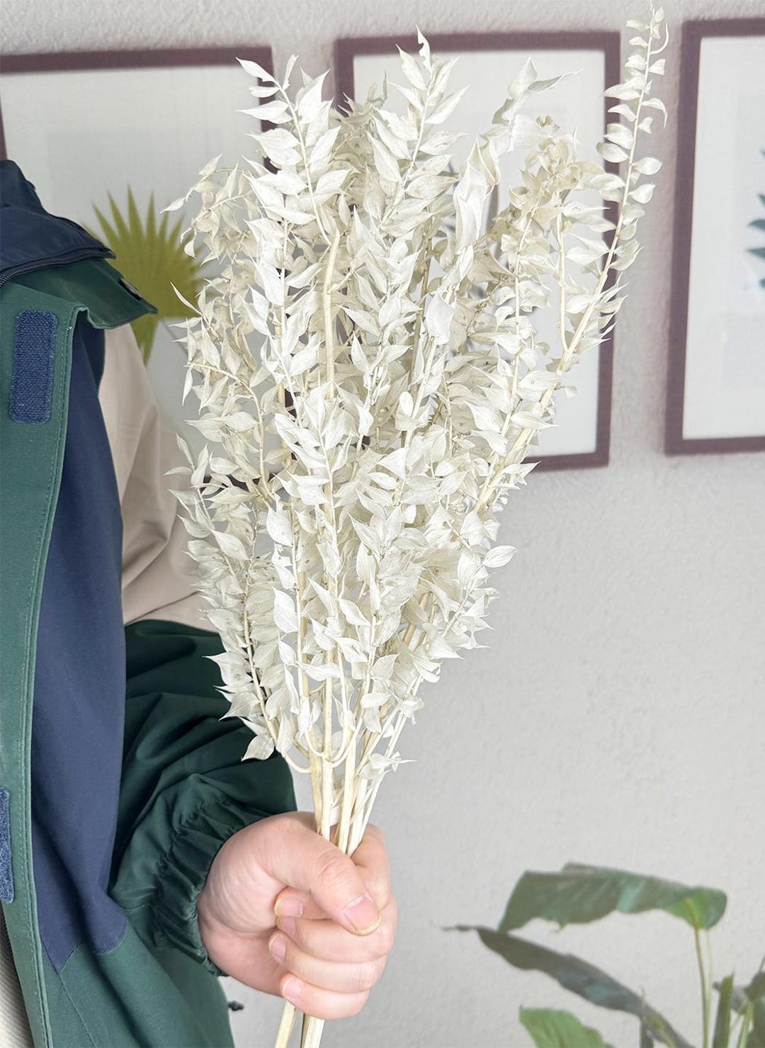 Bleaching Ltalian Ruscus Bunch,natural Preserved Flowers,dried Floral ...