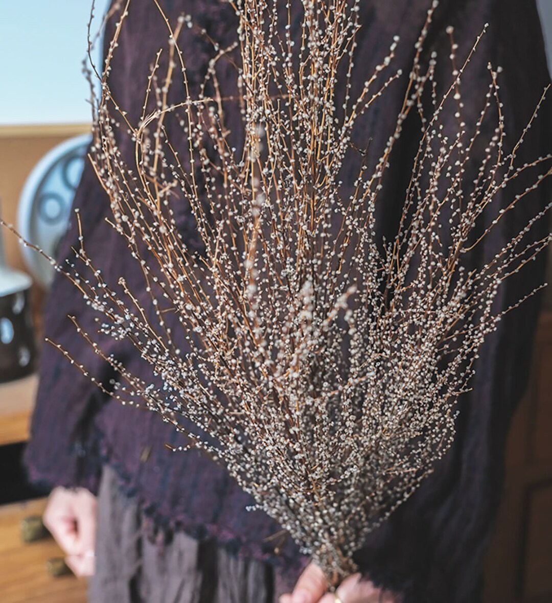 Natural Snow Twig Bunch， Dried Snow Branches，natural Plant，dried Flower ...