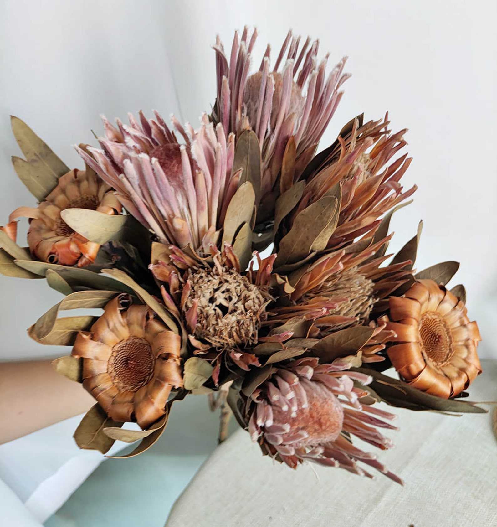 3 Type Natural Protea Flower，dried Protea Stems，dry Flower Arrangement ...