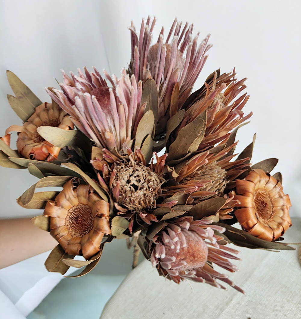 3 Type Natural Protea Flowerdried Protea Stemsdry Flower - Etsy