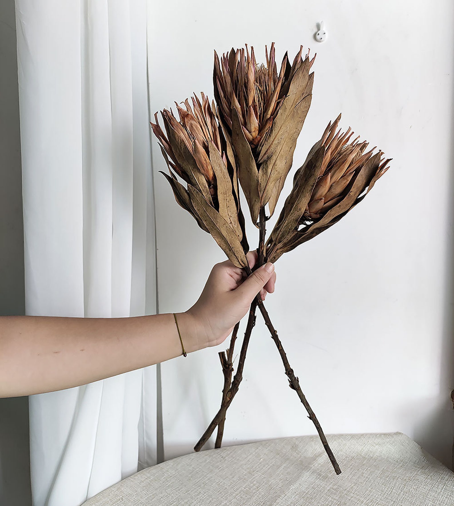 3 Type Natural Protea Flower，dried Protea Stems，dry Flower Arrangement ...