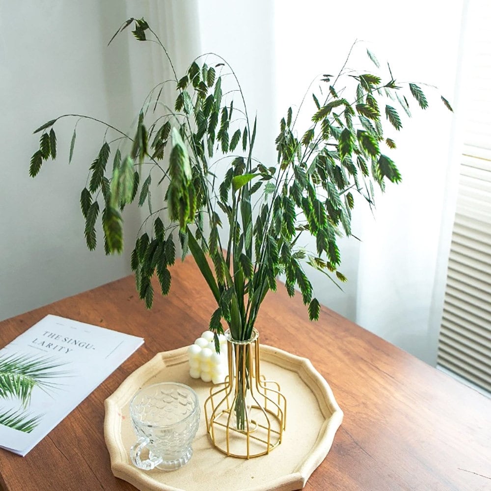 Dried Northern Sea Oat Grass, Natural Bell Grass for Vase Filling,diy ...