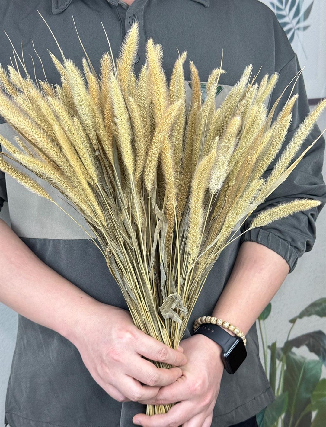 Dried Natural Dried Grass, Natural Setaria Bunches, Dry Grass for Vase ...
