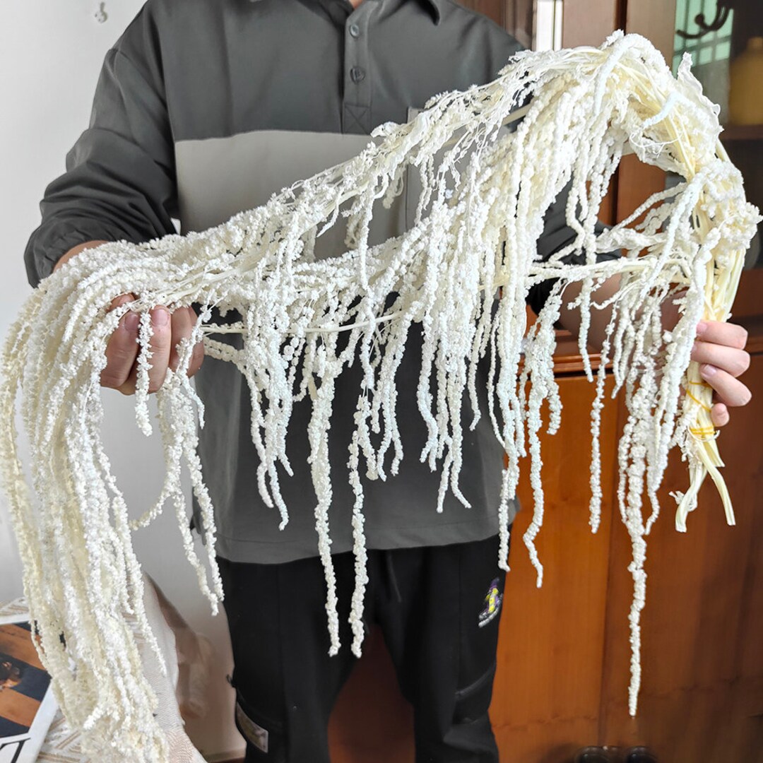 5 Stems Bleaching Hanging Amaranthus，preserved Amaranthus，hanging Wall ...