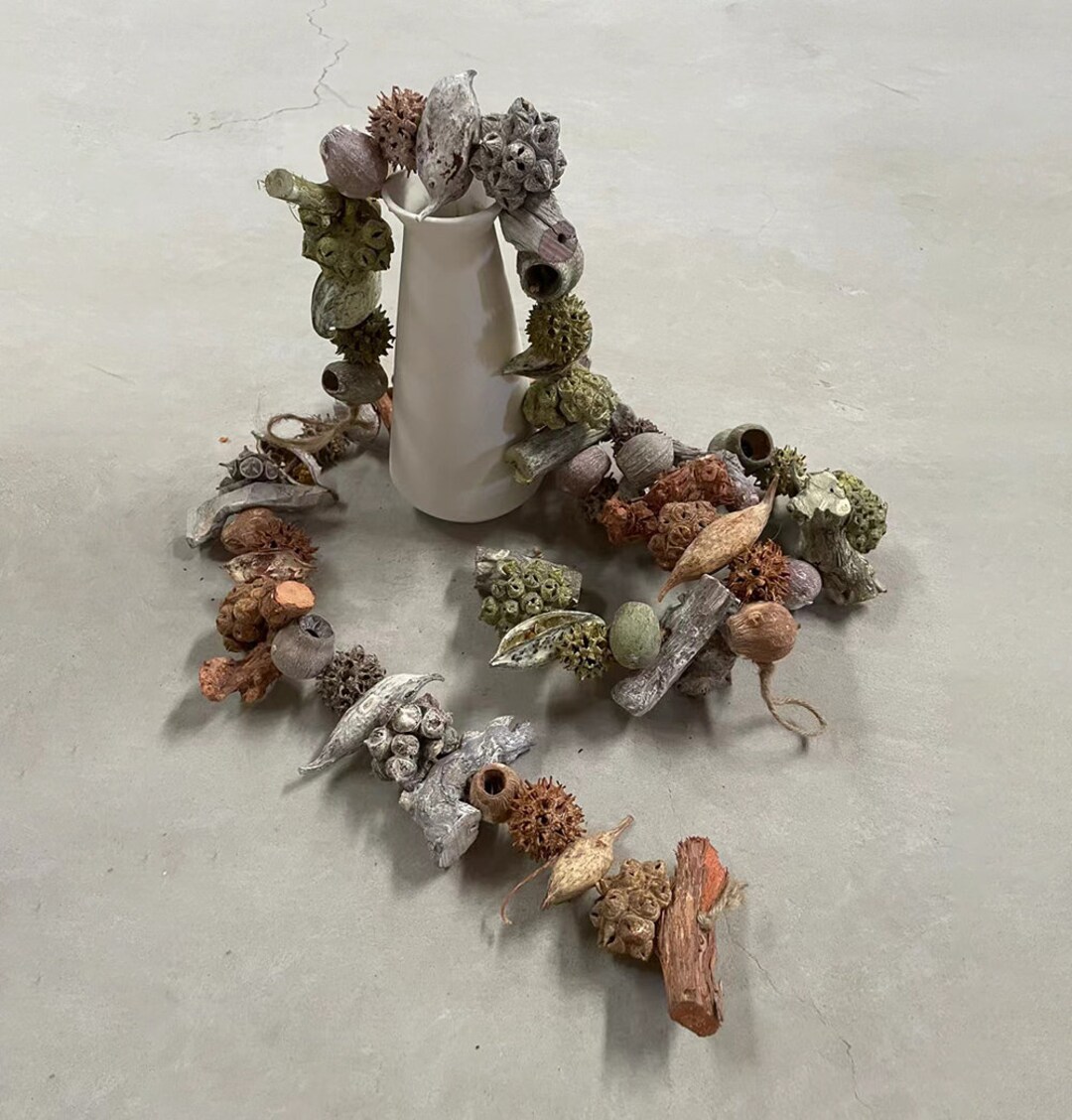 Dried Natural Fruit Stringshanging Fruits Pods Strings for - Etsy