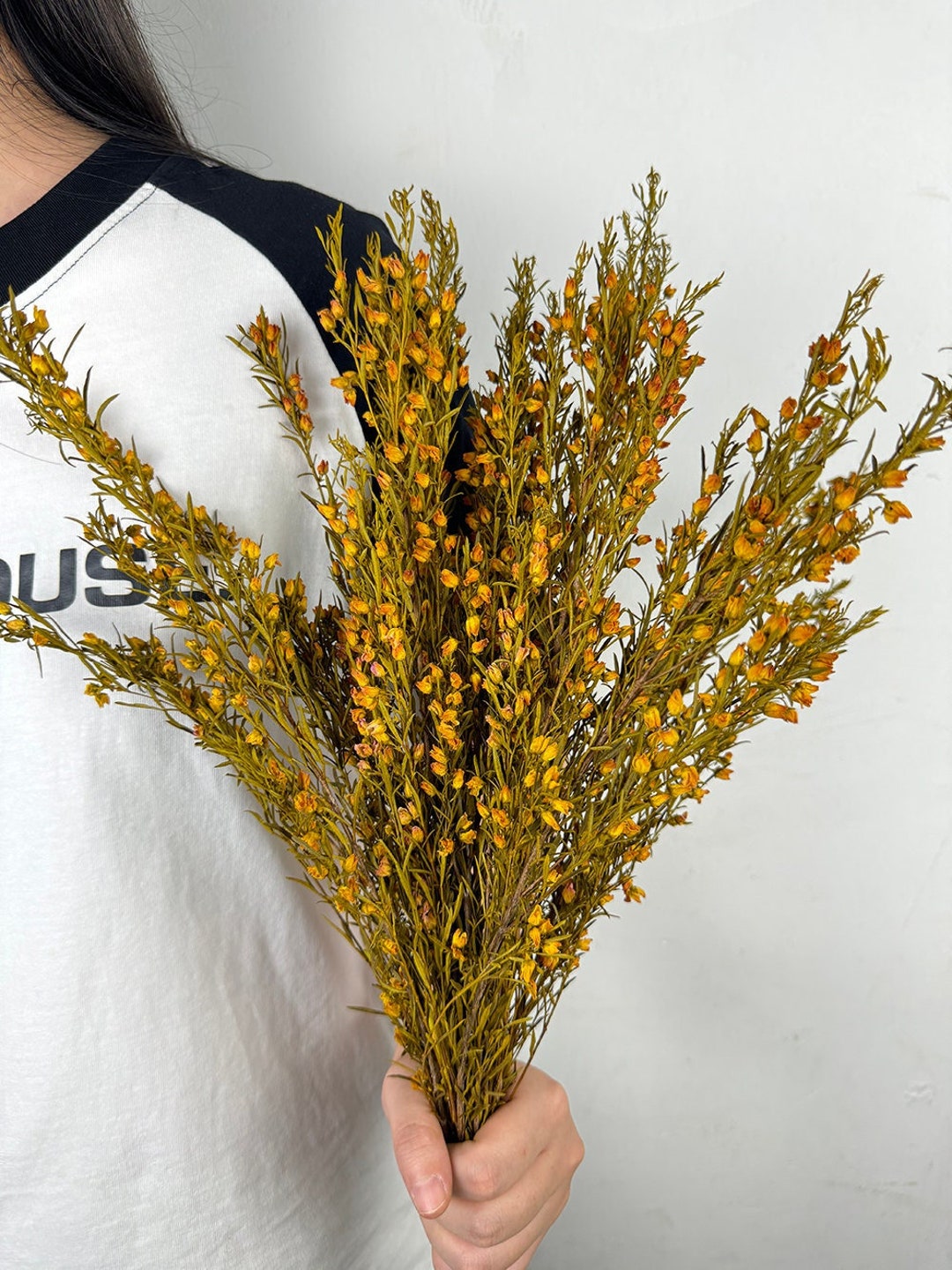 Dried Yellow Flower Bunch, Preserved Natural Bouquet, Dry Flowers ...