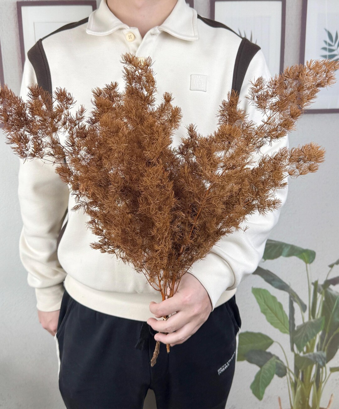 Preserved Ming Asparagus Bunch，natural Christmas Tree Branches, Flower ...