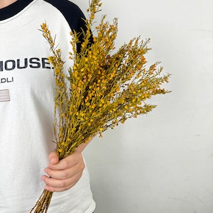 Dried Yellow Flower Bunch, Preserved Natural Bouquet, Dry Flowers ...