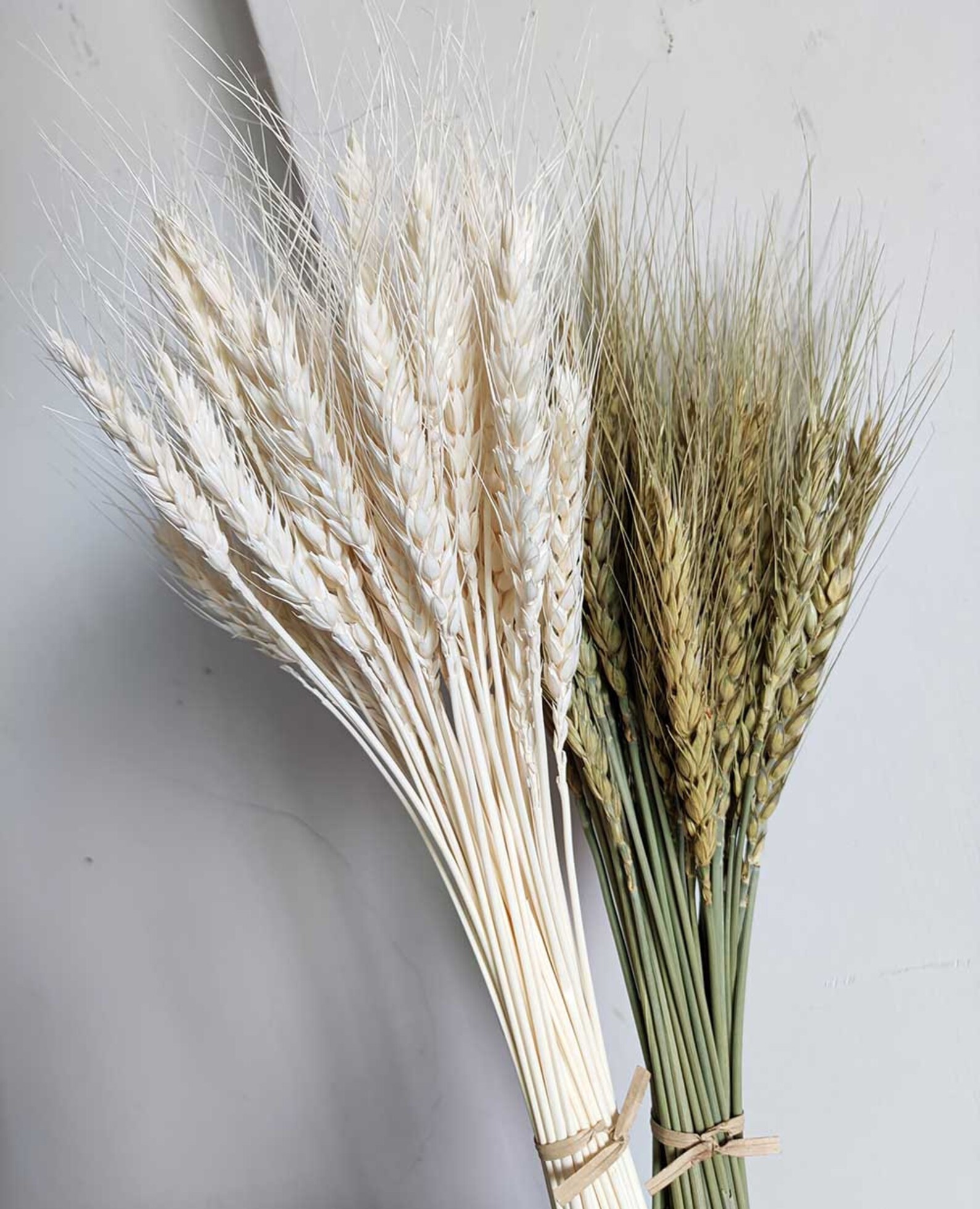 50 Stems Dried Wheat Grass Bundlenatural Wheat Bouquetwhite - Etsy