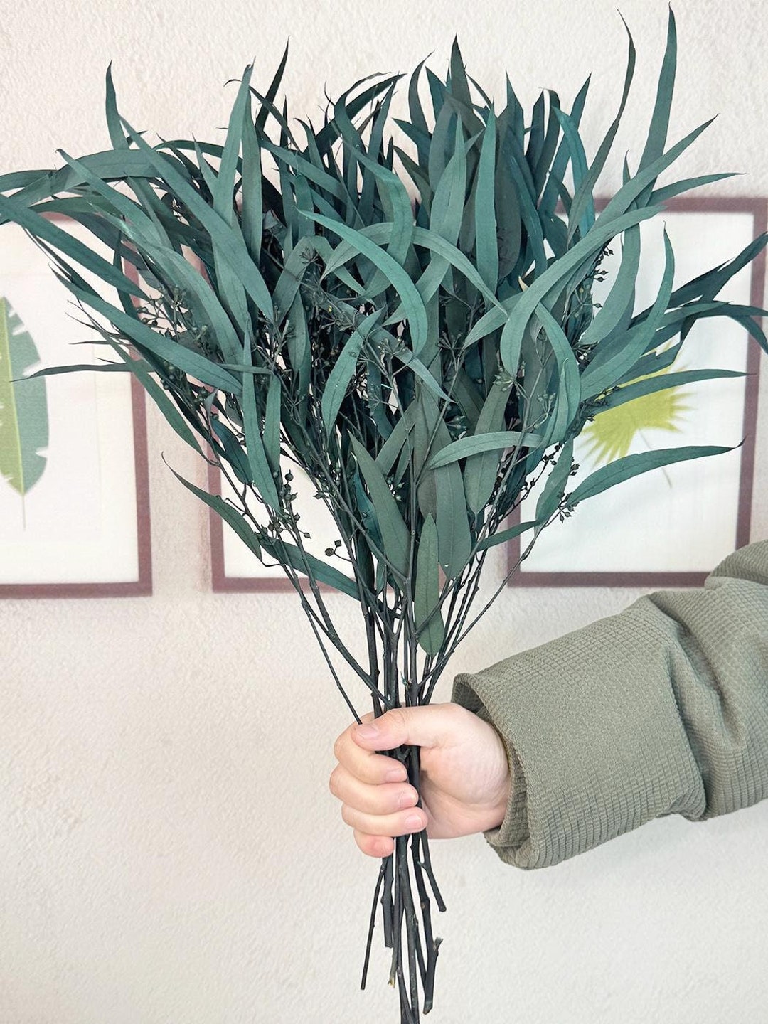 Natural Eucalyptus Leaves Bunches,preserved Parvafolia Eucalyptus ...