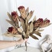 1/2/5 Dried Robin Protea Princess Flower，natural Protea Flower，dried ...