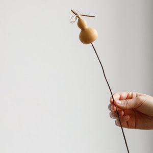 10PCS Natural Dry Gourds , Mini Gourds Martin House，great Lovely Garden ...