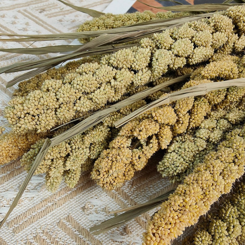 10 Stems Natural Millet Branches，millet Grain，flowers Arrangement，diy ...