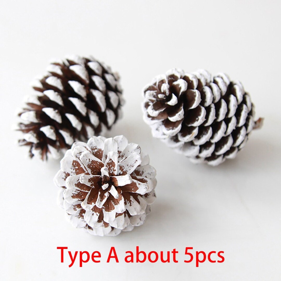 10 Type Boxed Pine Cone for Wreath Materialdiy Craft Supplydried Flower ...