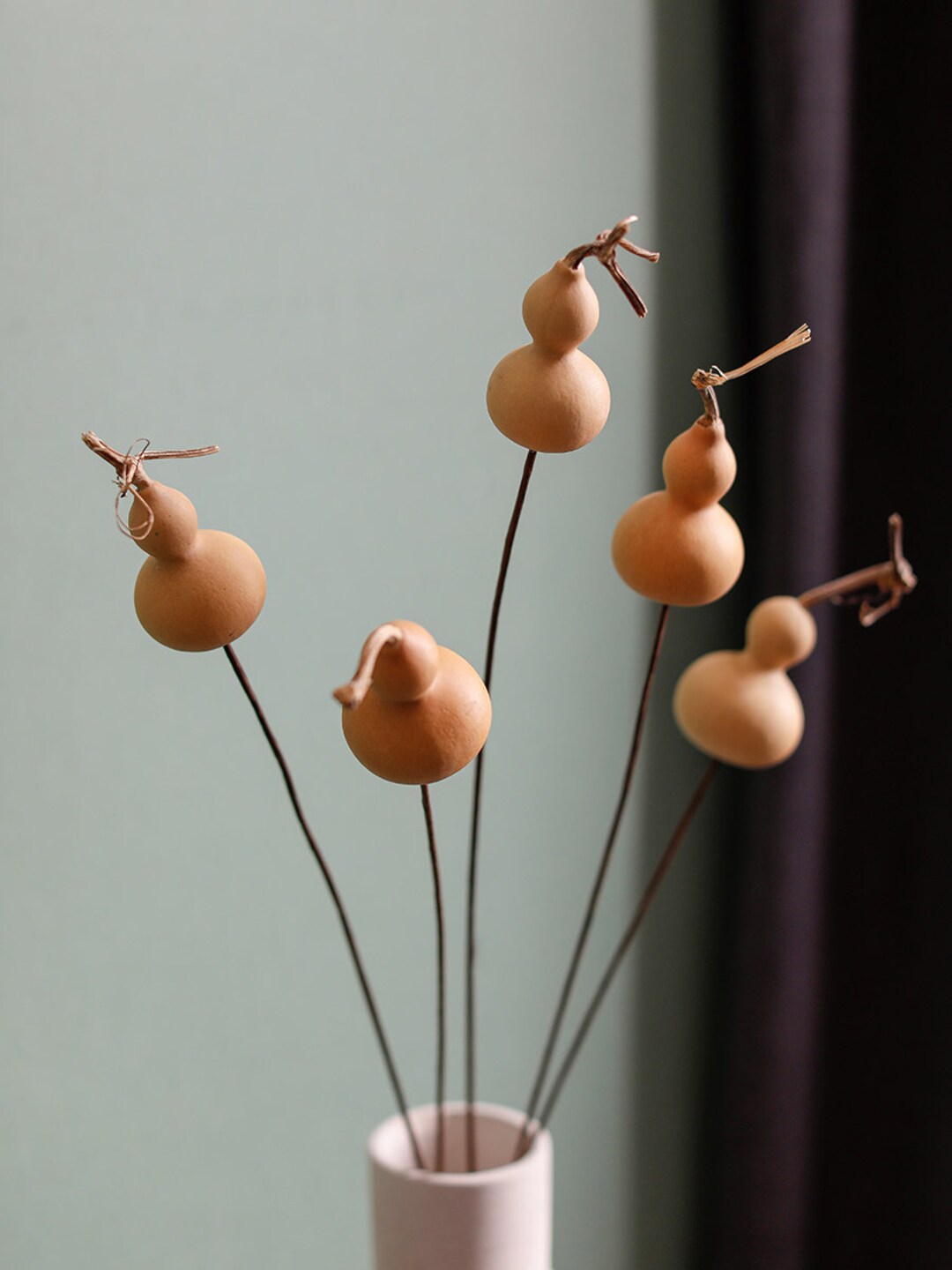 10PCS Natural Dry Gourds , Mini Gourds Martin House，great Lovely Garden ...