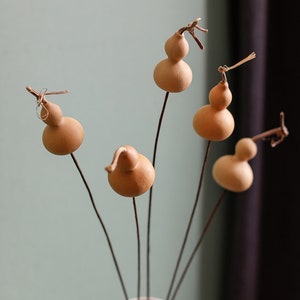 10PCS Natural Dry Gourds , Mini Gourds Martin House，great Lovely Garden ...