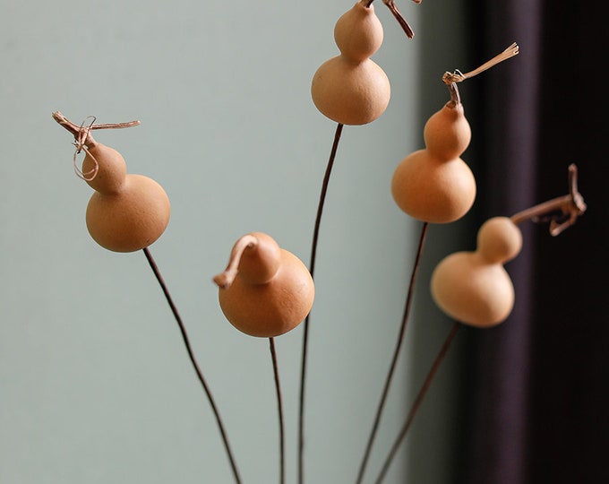 10PCS Natural Dry Gourds , Mini Gourds Martin House，great Lovely Garden ...