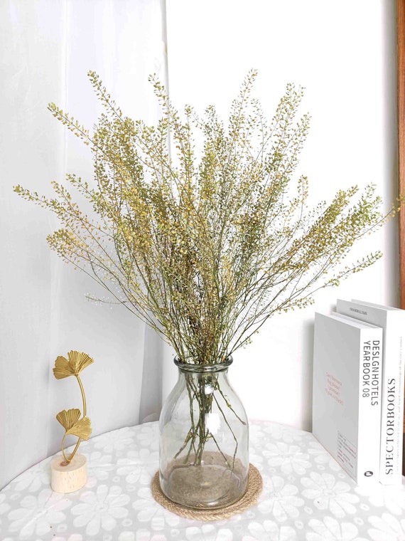 Dried Mini Lepidium Bunchnatural Thlaspi Bouquetdried - Etsy