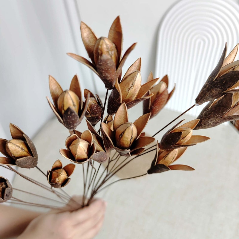 Magnolia Dried Flowers - Etsy