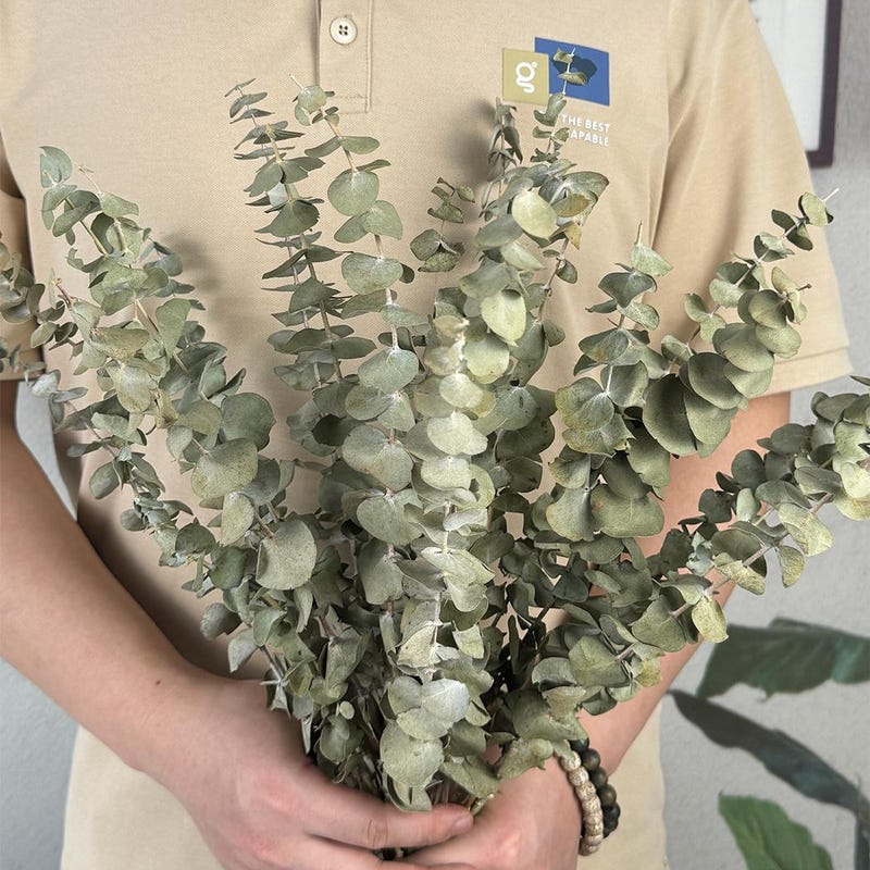 Eucalyptus Decor - Etsy