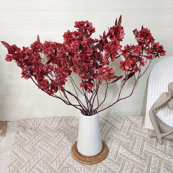 Dried Iris Flower - Etsy