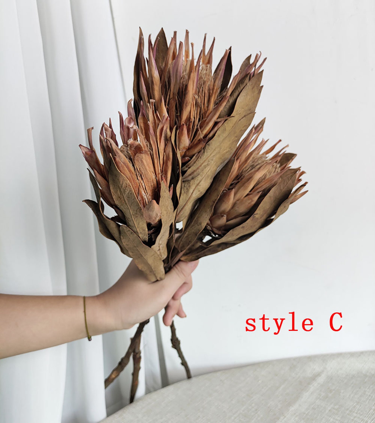 3 Type Natural Protea Flower，dried Protea Stems，dry Flower Arrangement ...