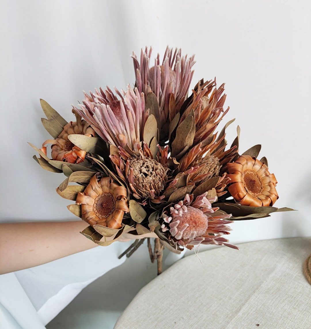 3 Type Natural Protea Flower，dried Protea Stems，dry Flower Arrangement ...