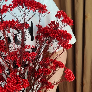 Dry Rice Flower，red Rice Flower Bunch，dry Flower for Vase，dry Flowers ...