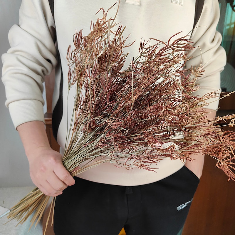 Dried Grass - Etsy