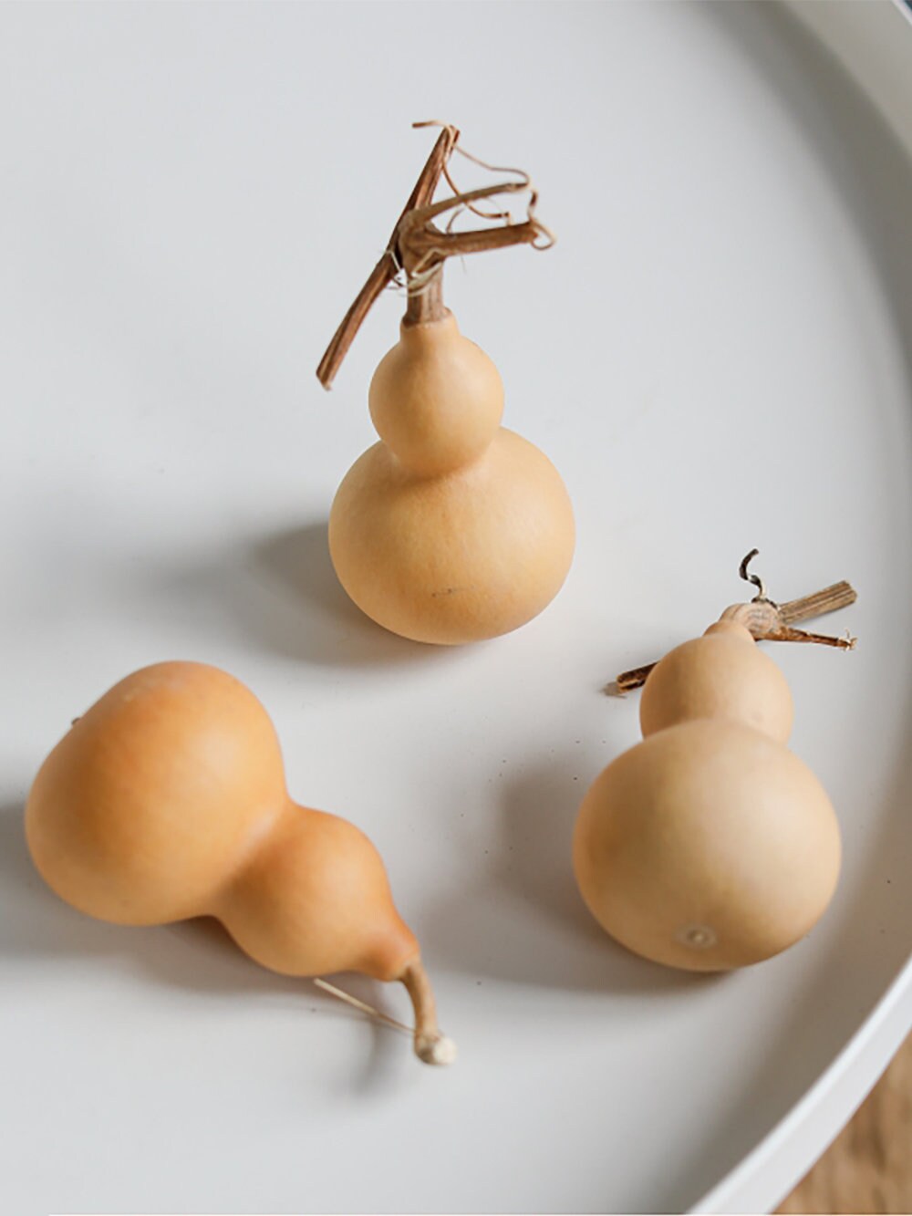 10PCS Natural Dry Gourds , Mini Gourds Martin House，great Lovely Garden ...