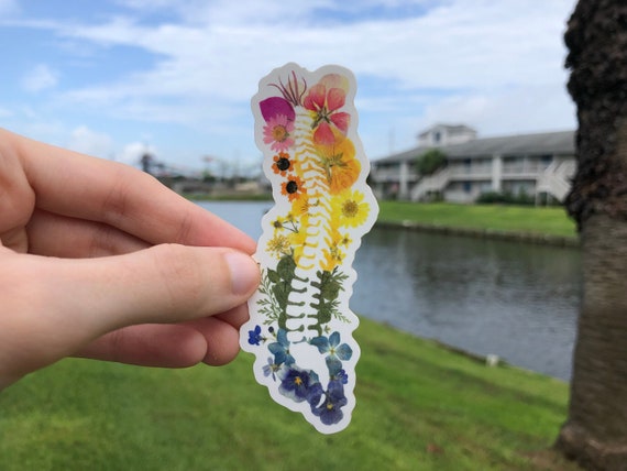 Spinal Cord Sticker Spinal Column Sticker Rainbow Spinal | Etsy