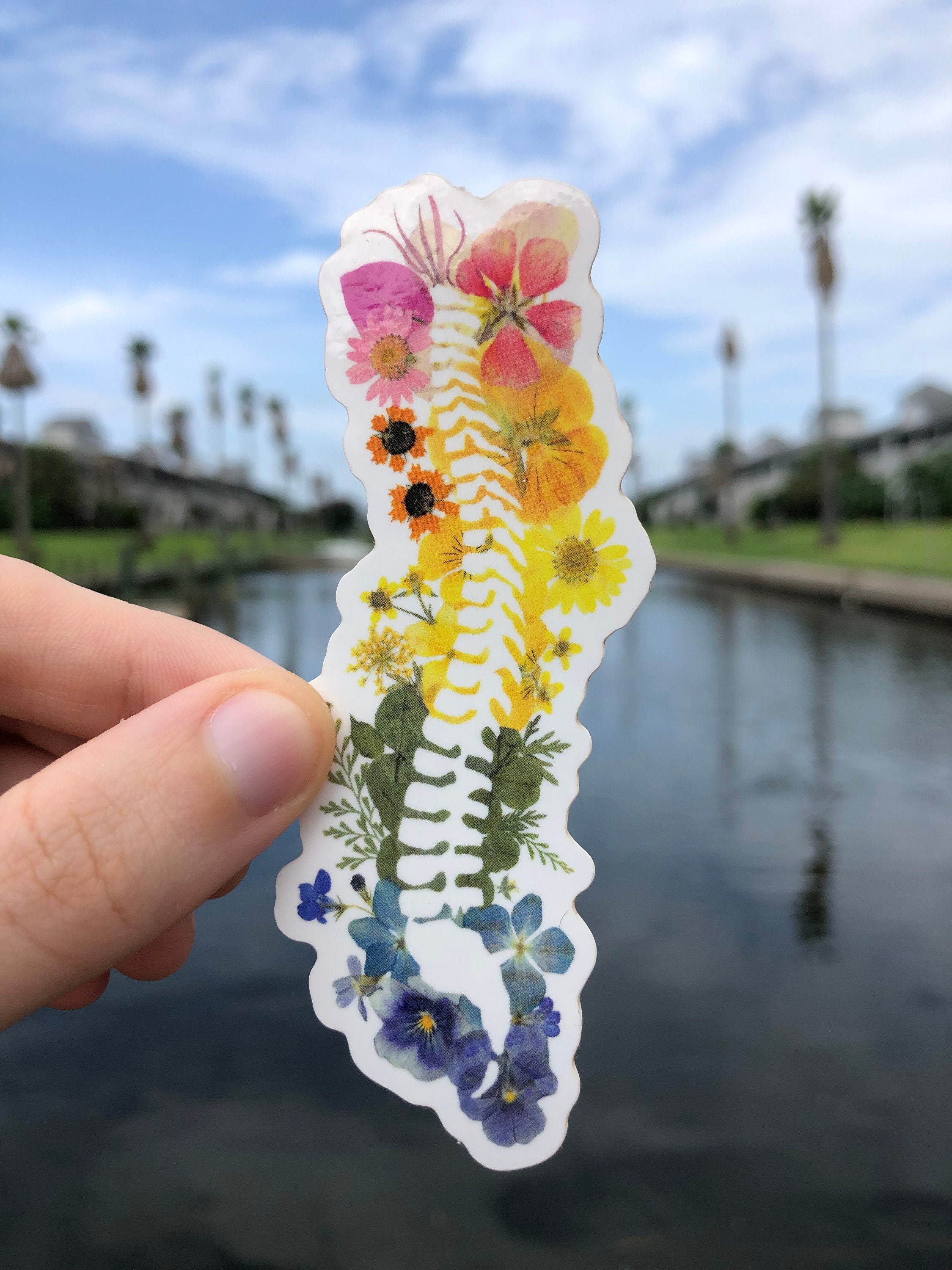 Spinal Cord Sticker Spinal Column Sticker Rainbow Spinal | Etsy