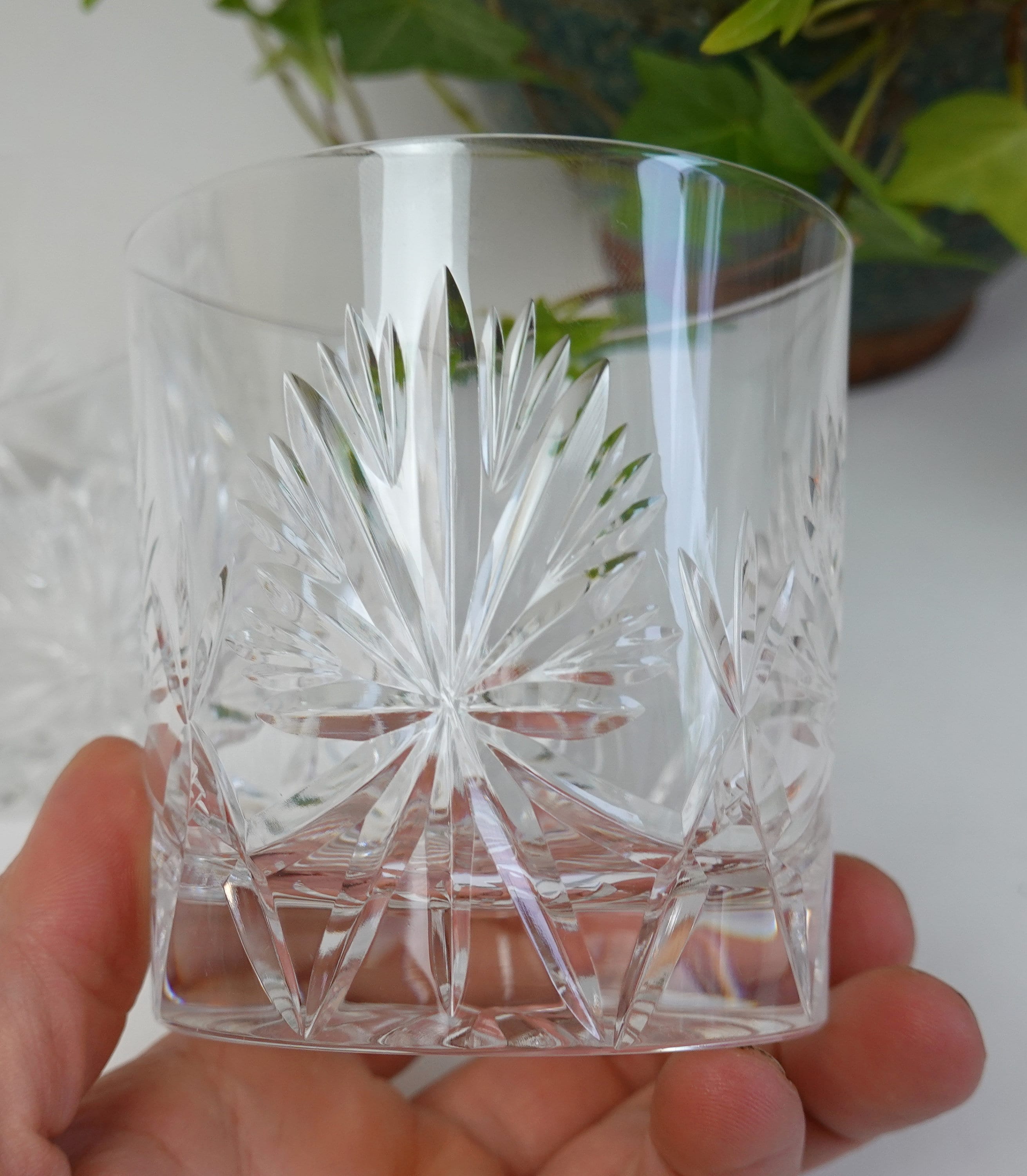 Two Edinburgh Crystal Star of Edinburgh Pattern Whisky Tumblers Glasses ...