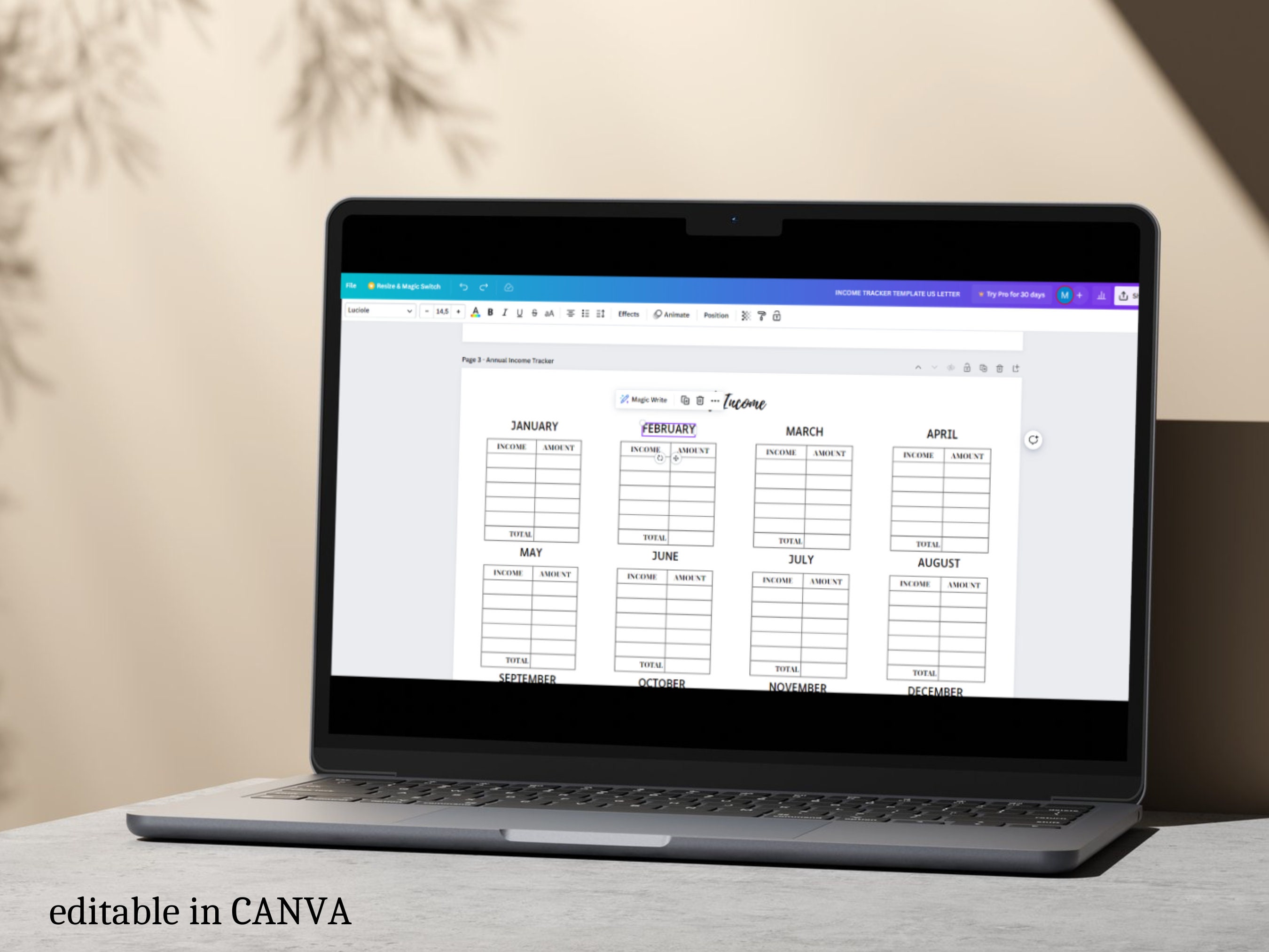 Daily, Weekly, and Annual Income Tracker Printable Sheets Manage Your ...