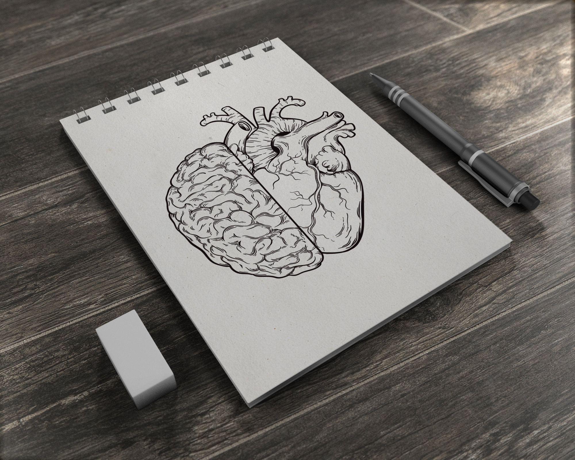 Human Heart and Brain Digital Illustrations, Designs in Antique Etching ...