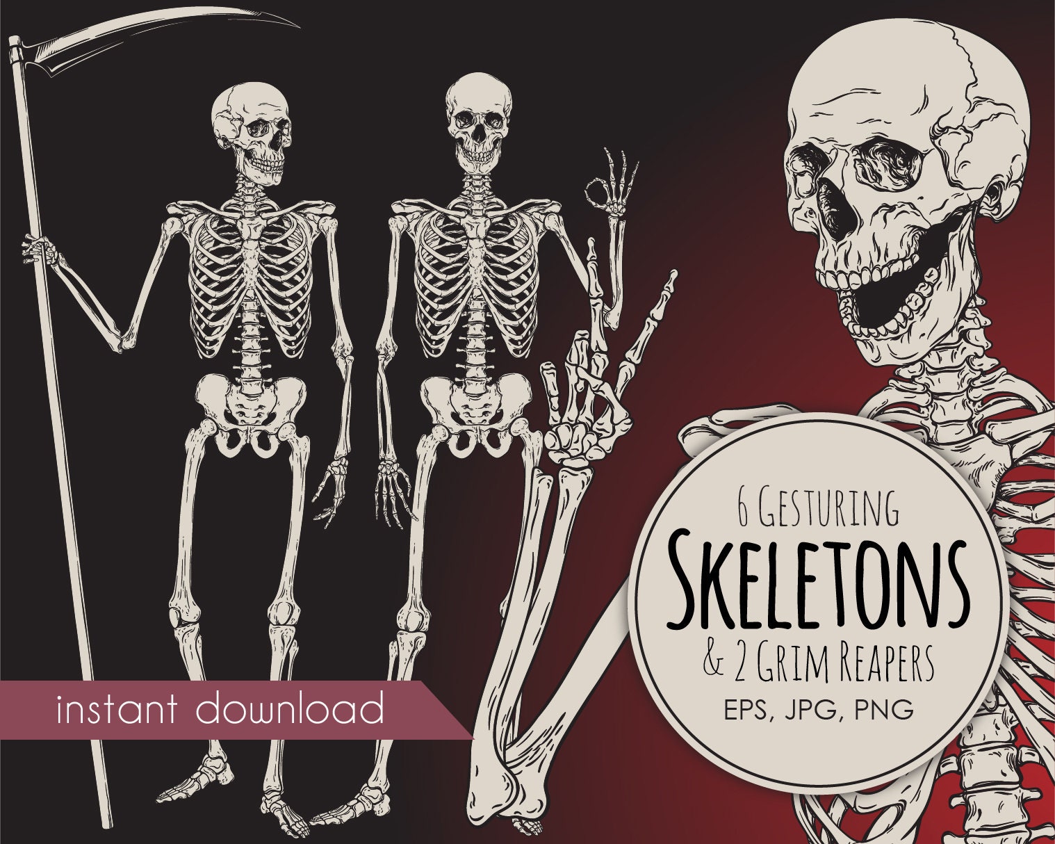 Skeletons Digital Design Clipart, 8 Isolated Vector Halloween Spooky ...