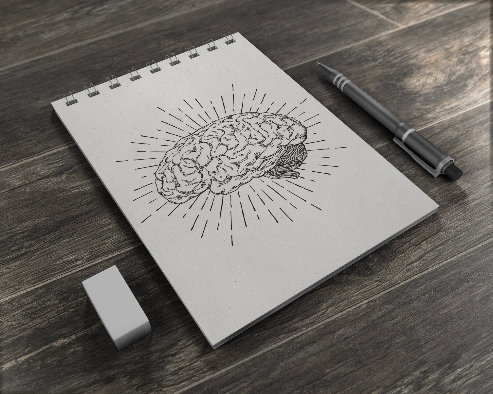 Human Heart and Brain Digital Illustrations, Designs in Antique Etching ...
