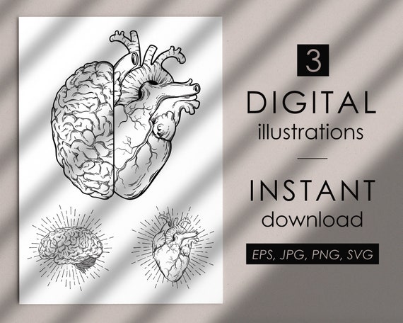 Human Heart and Brain Digital Illustrations Designs in | Etsy