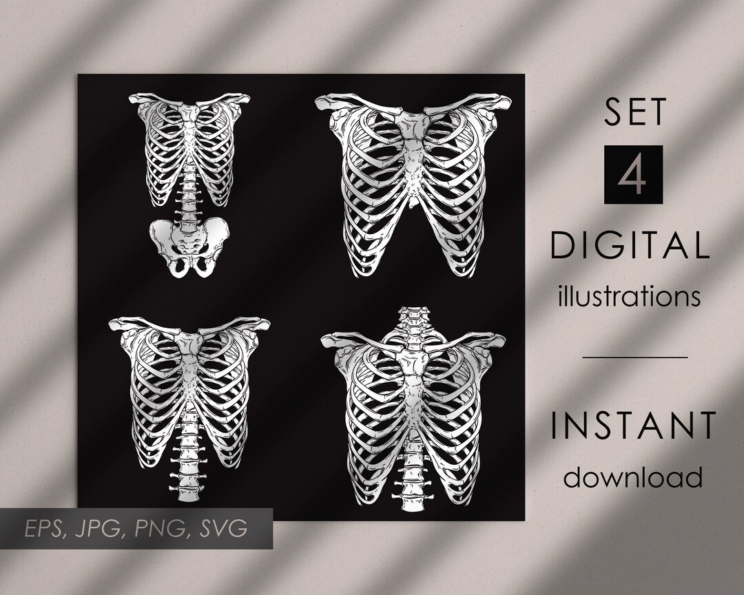 Skeleton Ribcage Digital Clipart, Thorax X-ray Ribs Halloween Print ...