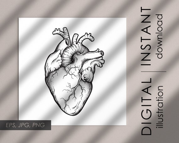 Human Heart Dotwork Digital Illustrations Designs in Tattoo - Etsy