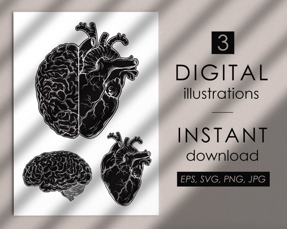 Human Heart and Brain Digital Illustrations Designs in Black - Etsy