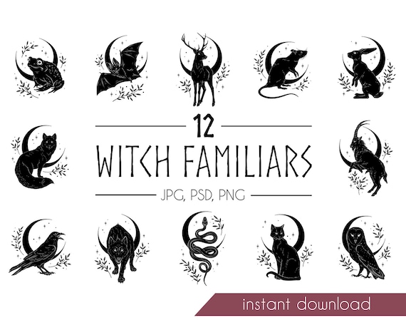 Witchcraft Animals How To Work Magic With Your Animals FT Panthera The