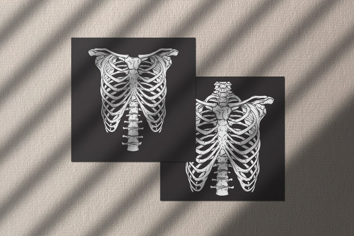 Skeleton Ribcage Digital Clipart Thorax X-ray Ribs Halloween - Etsy