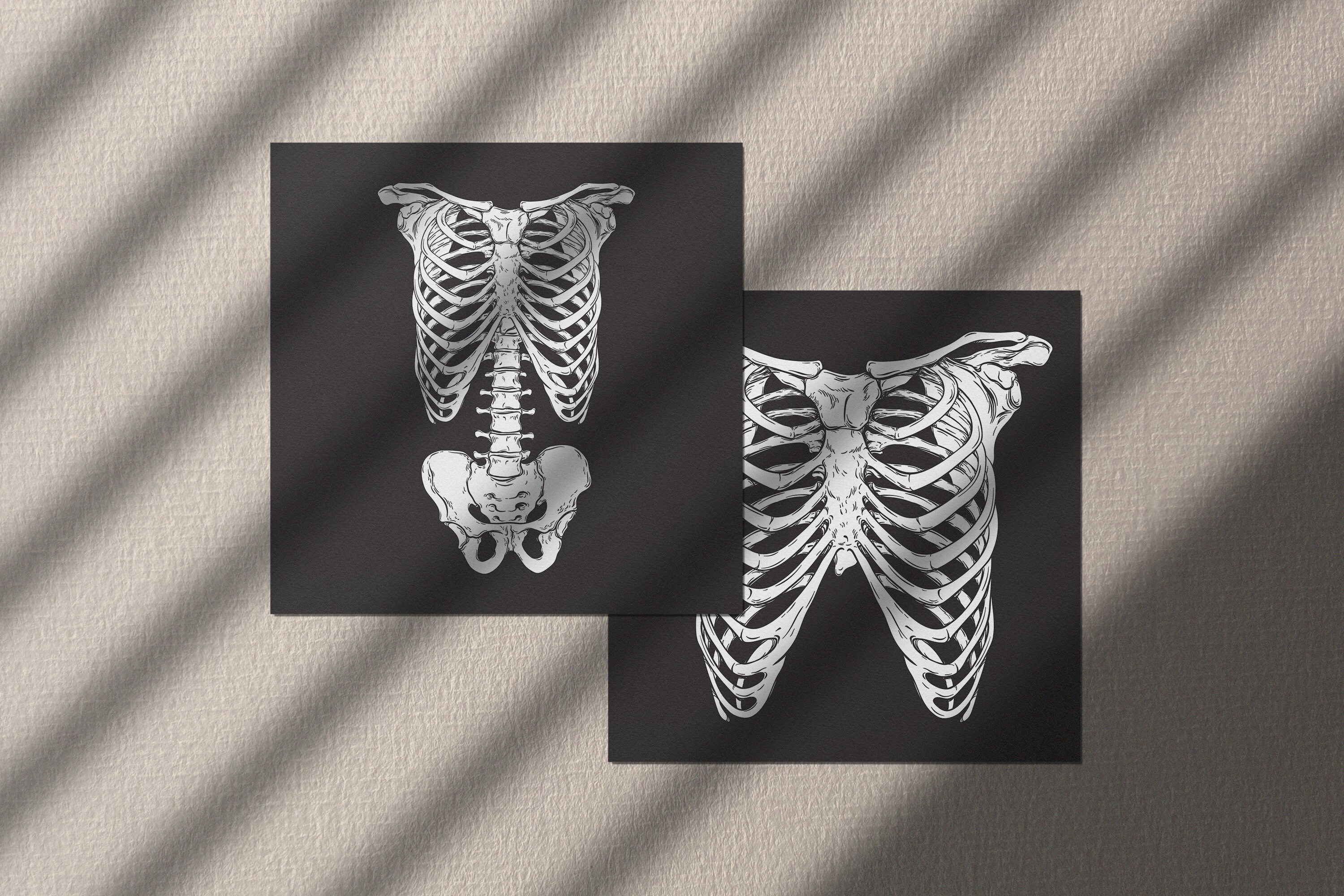 Skeleton Ribcage Digital Clipart Thorax X-ray Ribs Halloween - Etsy
