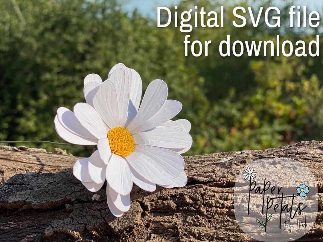 Daisy Daisies SVG, Make Your Own Paper Flowers, Includes SVG Template ...